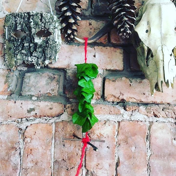 The Plant And Tree Lore Series: “Through The Ivy Curtain And Past It’s ...